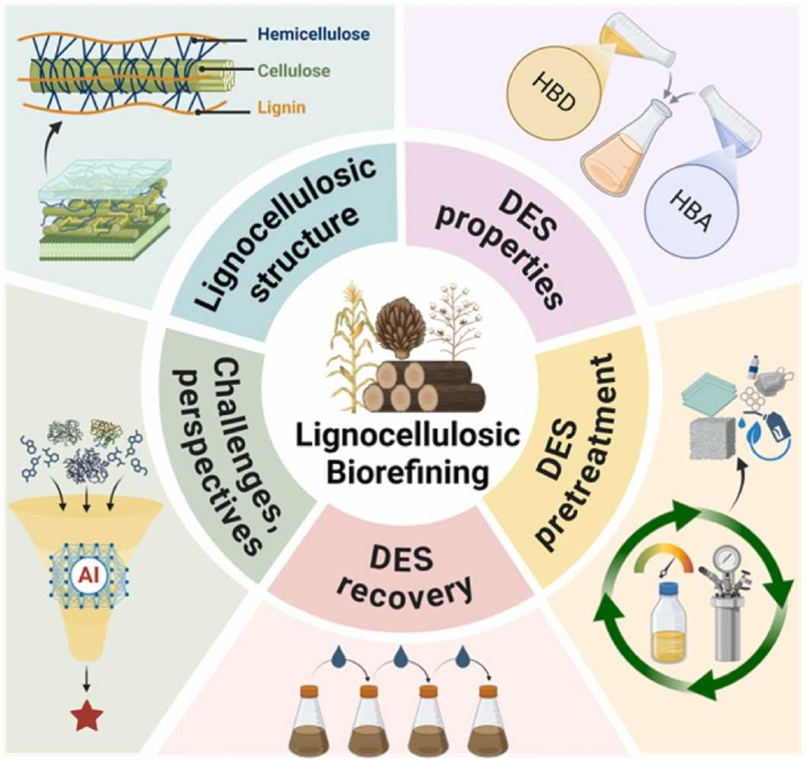 Minghui Wang, Xianshen Fu, Yongyao Chang, Junnan Wei, Haiyang Cui ...