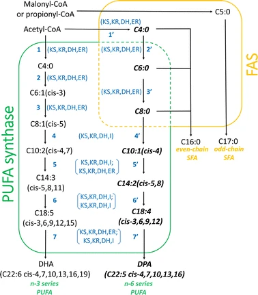 Zhang, K., Li, H., Chen, W., Zhao, M., Cui, H., Min, Q., Wang, H., Chen ...